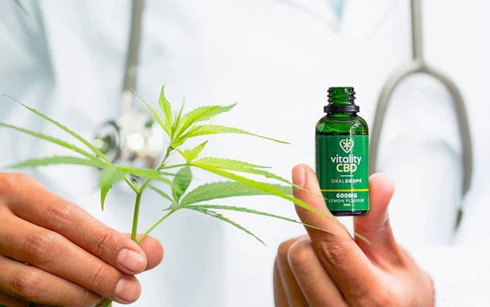 CBD starter packs: How to easily start taking CBD – Vitality CBD